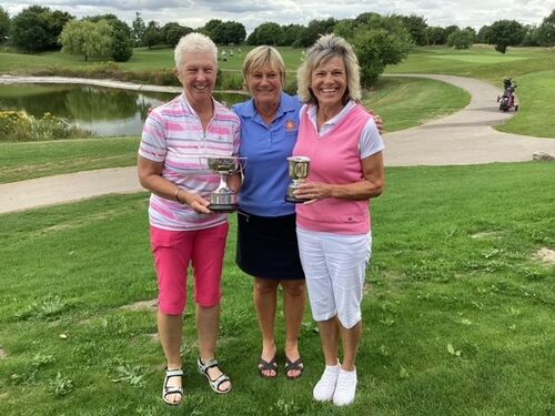 Home [www.hampshireladiesgolf.com]